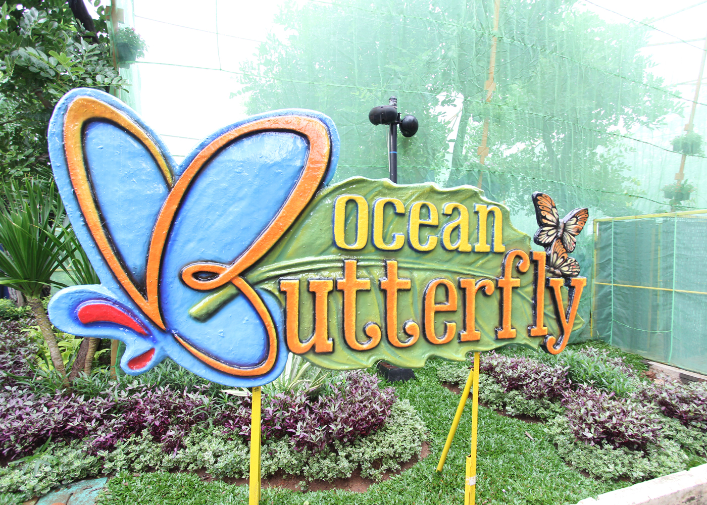 Liburan ke Ocean Dream Samudra Ancol Yuk!