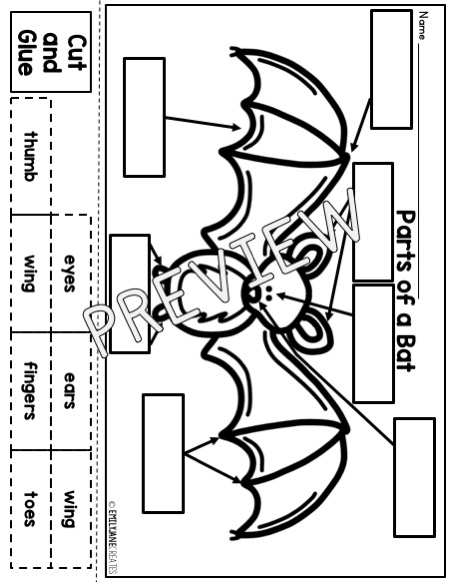 Emily Jane Creates: STELLALUNA UNIT