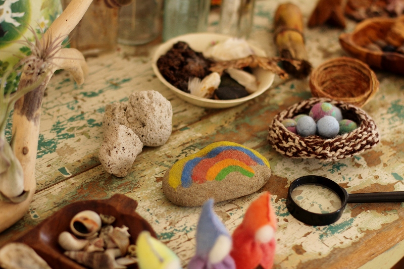 this brown wren: the nature table