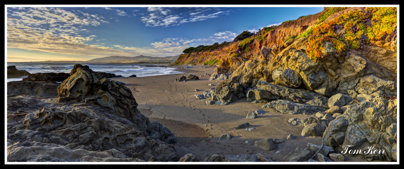 A Pacific View: Moonstone Beach