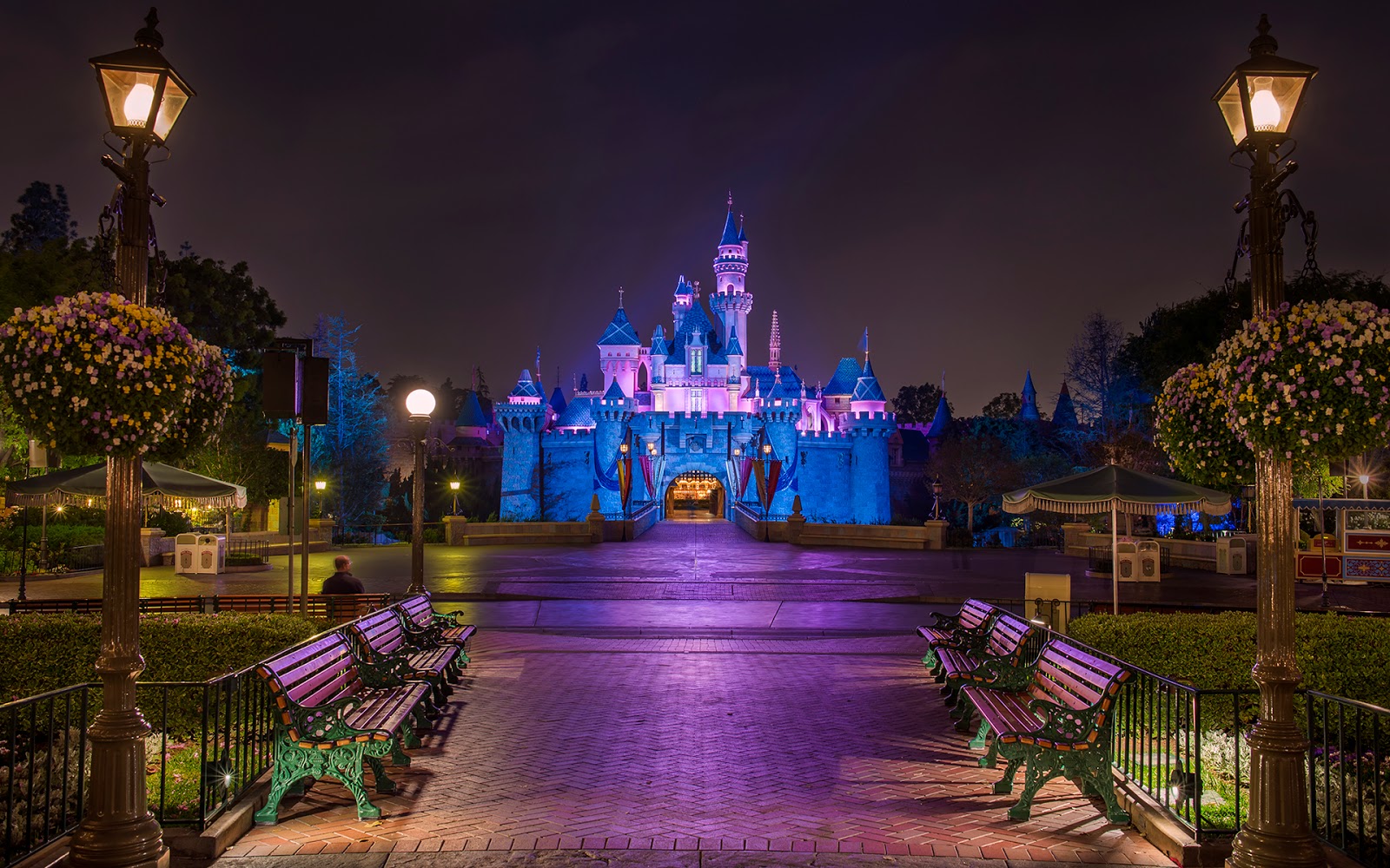 Disney Photoblography