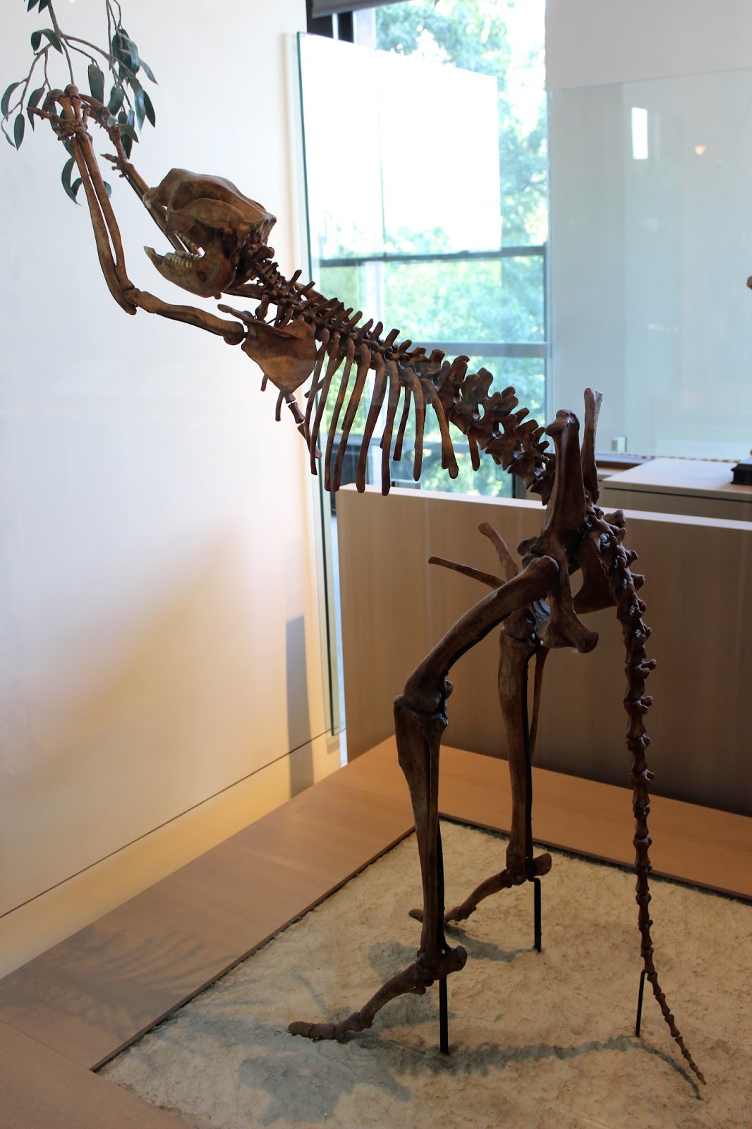 The Natural World: Jurassic World: Facultative Bipedalism