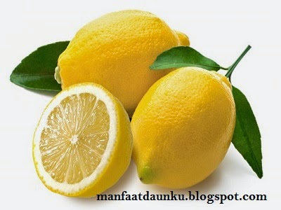 Manfaat Buah Lemon Bagi Kesehatan Dan Kecantikan | Kesehatan