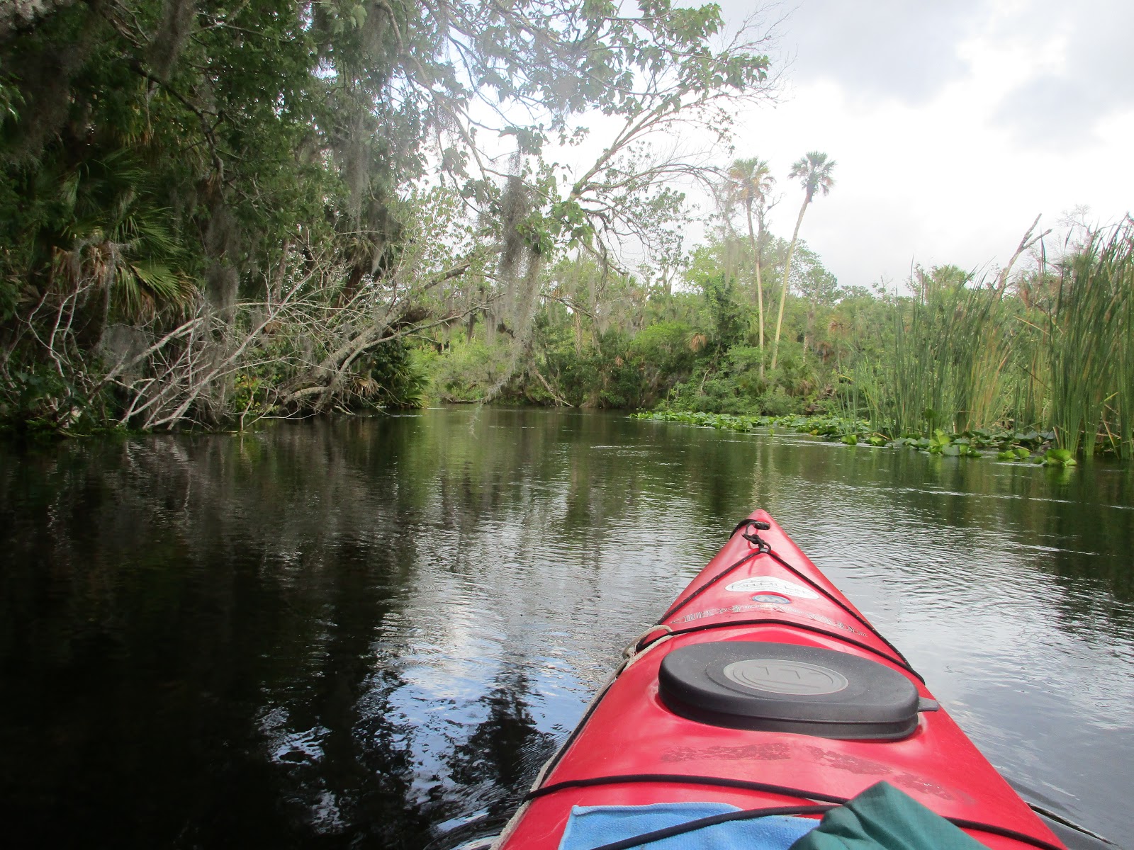 Dave's Yak Tales: Wekiva River