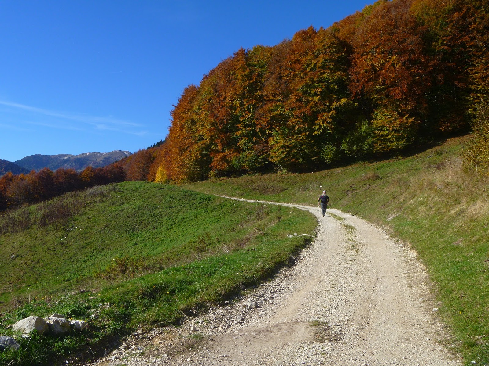 Su strade e sentieri: MONTE GRAPPA: giro delle malghe