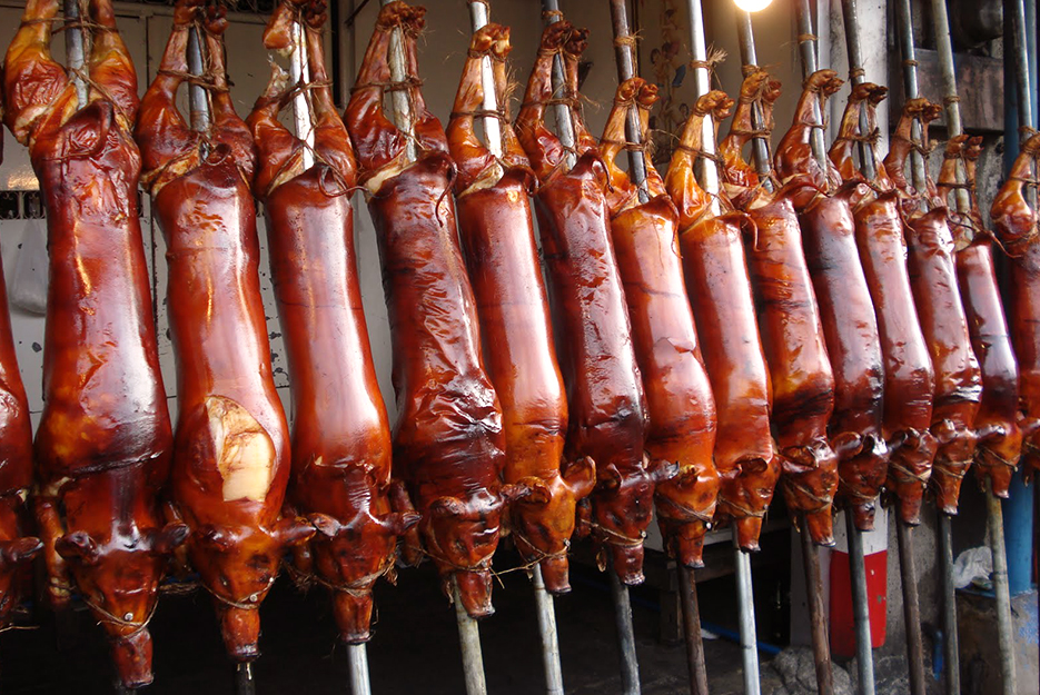 Living with Nature - School on Blog by Dr. Abercio V. Rotor: Lechón ...