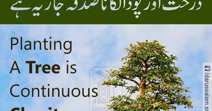 Hadith about Planting A Tree - Best Right Way