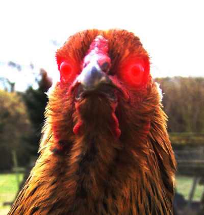 Escalofriorgasmicosmicuántico: agosto 2011