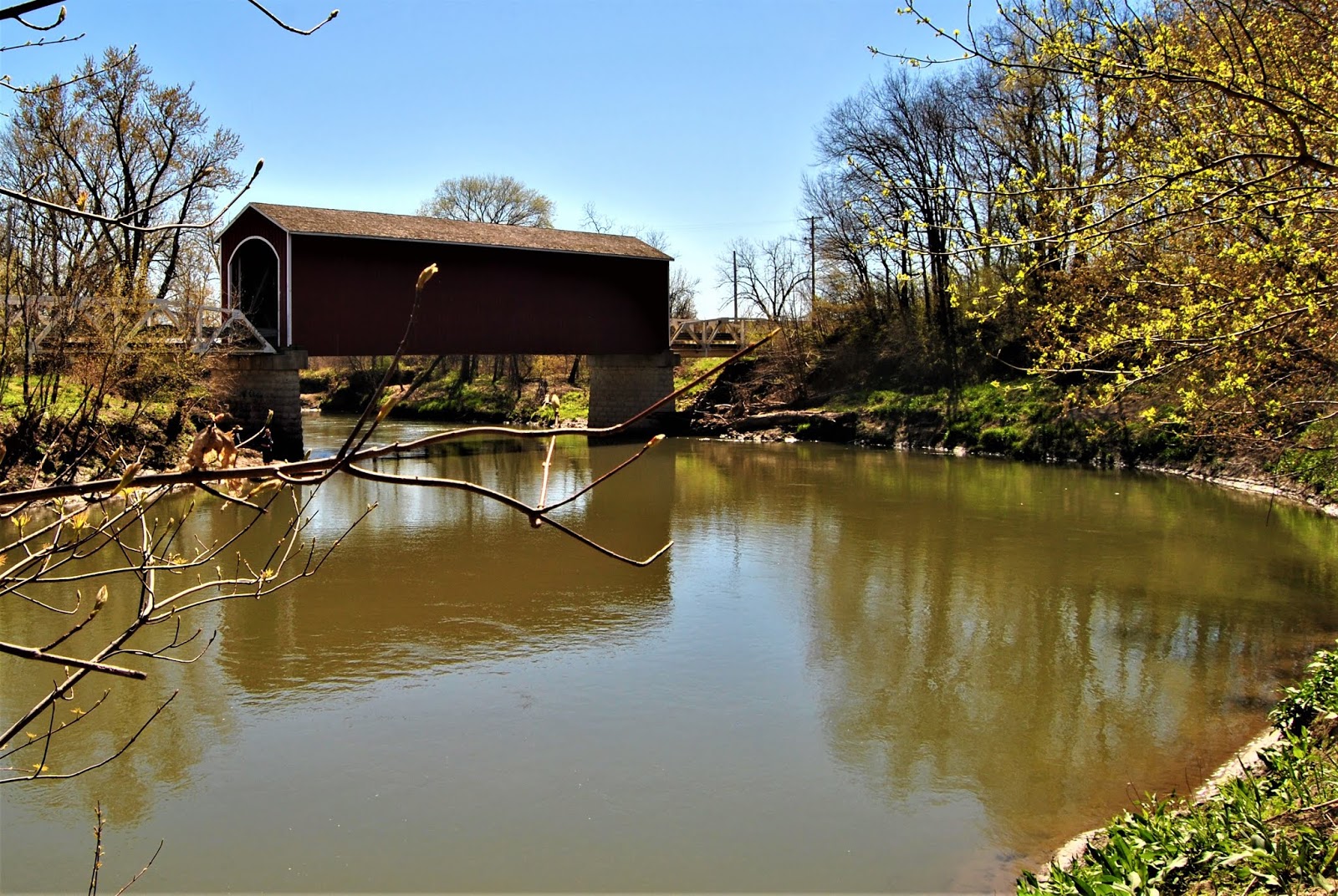 Illinois Covered Bridges - Wolf