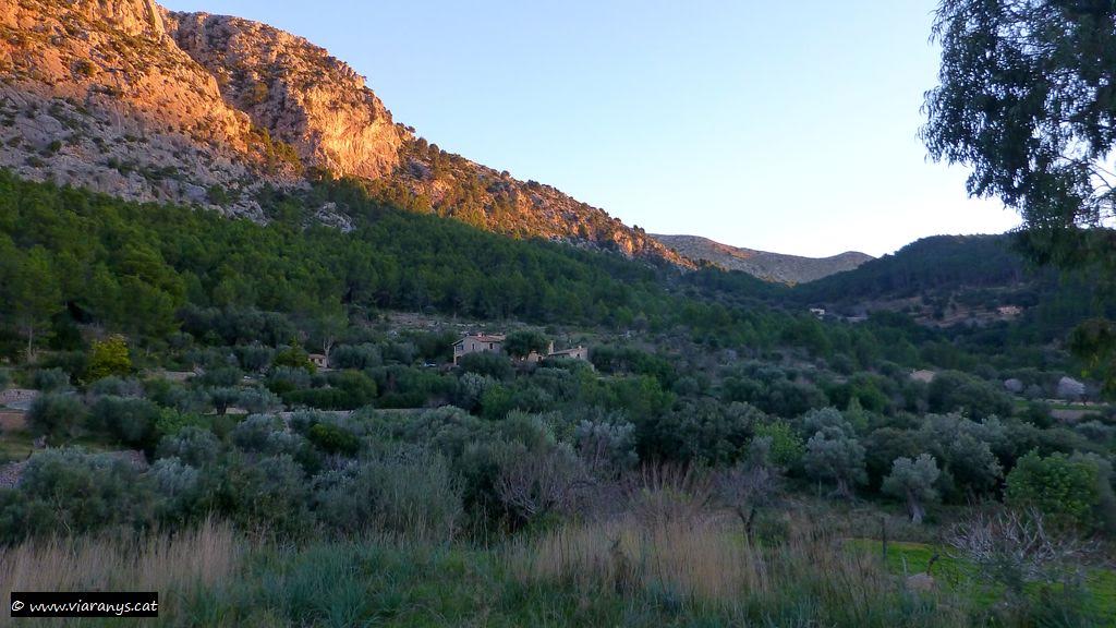 Viaranys: Pujador des Palmers i coma Clova