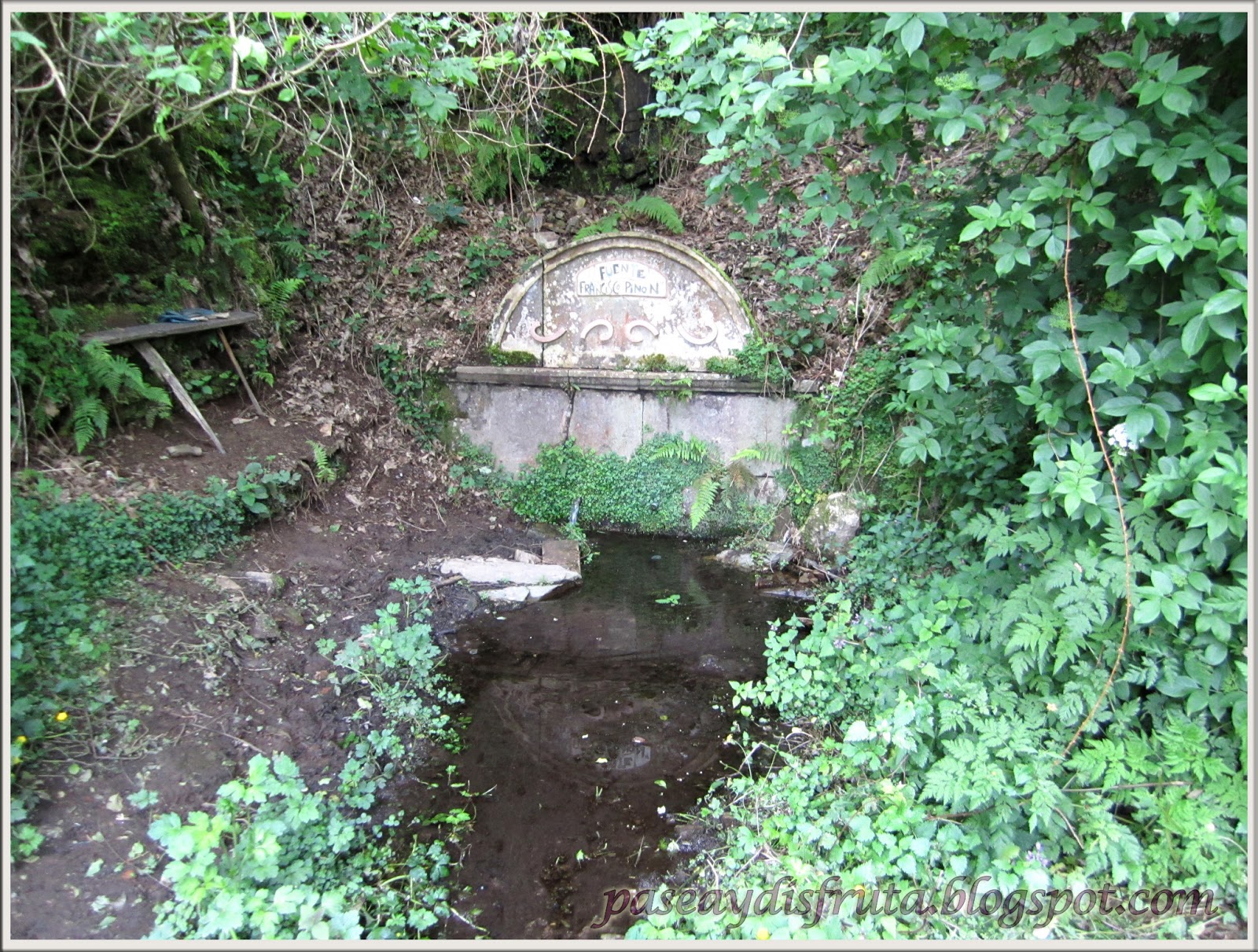 Mis paseos por Asturias: Paseo por Malleza "La pequeña Habana"