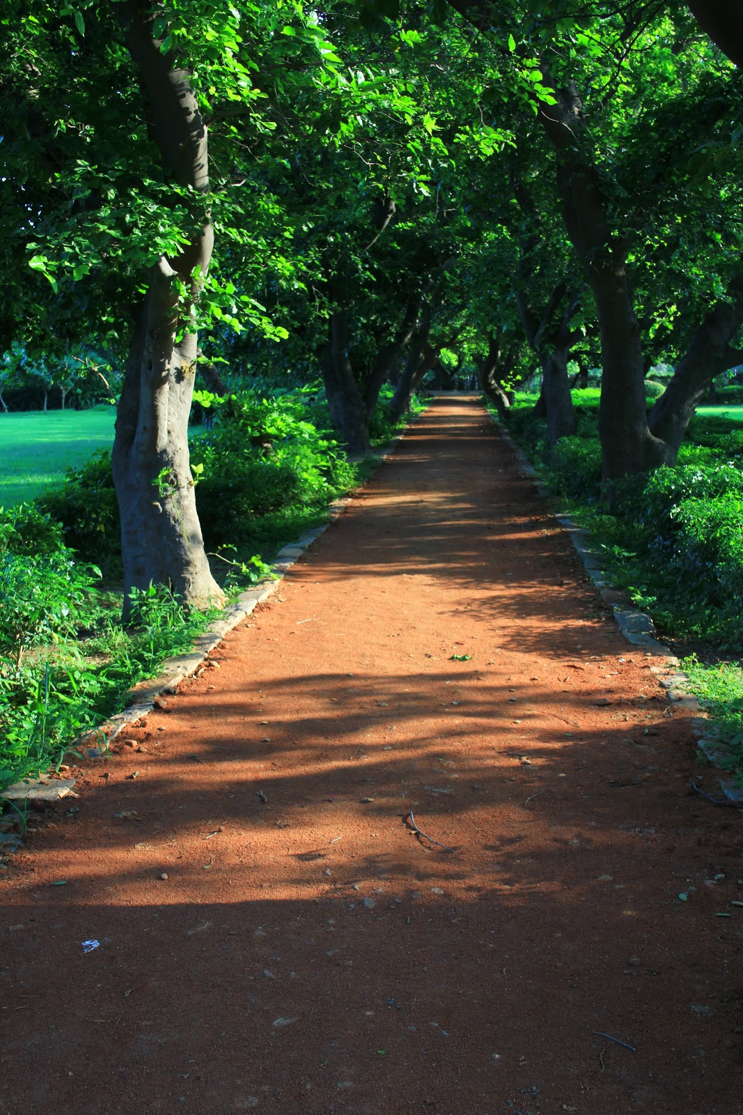 Deer park and Hauz khas Lake : Hoofs and Shoes Tread - India Travel Blog