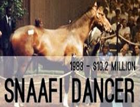 Tipster Street Blog: The Wonderful World of Breeding (Part 2 of 4 ...