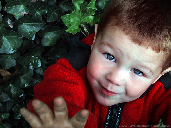 SMiLE PhotoArt: more chives in bloom
