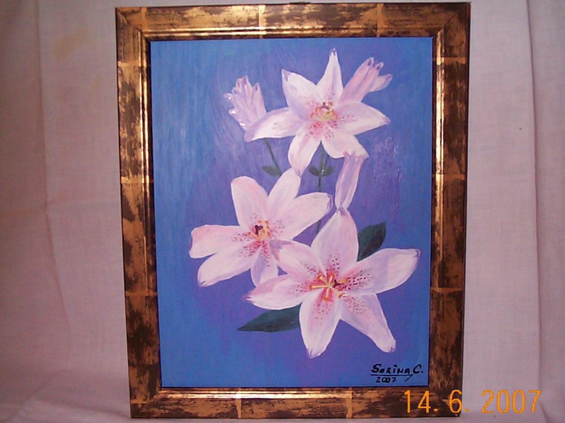 Hand Made by Sorina: Tablouri