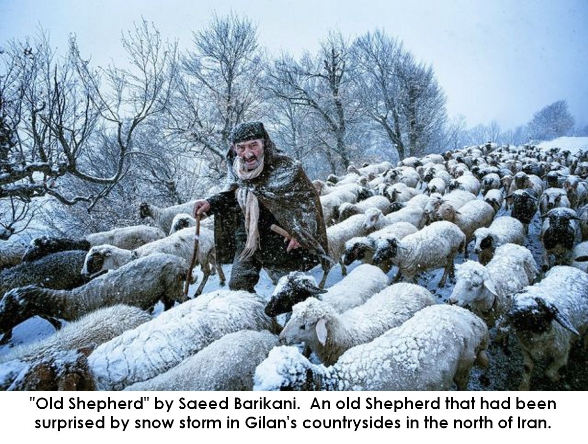 Chuck's Fun Page 2: Extraordinary photography - 30 images