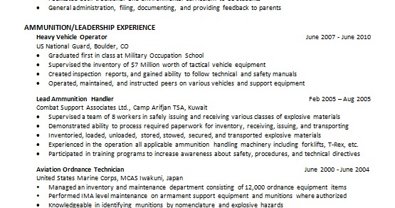Program Assistant Sample Resume Format in Word Free Download
