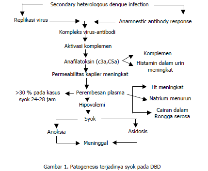 Intan Risna's: Demam Berdarah Dengue