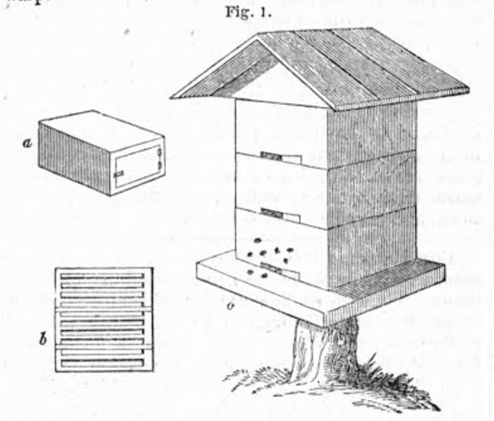 Honeybee History: 1841 - Comments on hive management, swarming, and ...
