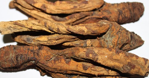 Farmakognosi Kumpulan Simplisia Radix: RHEI RADIX