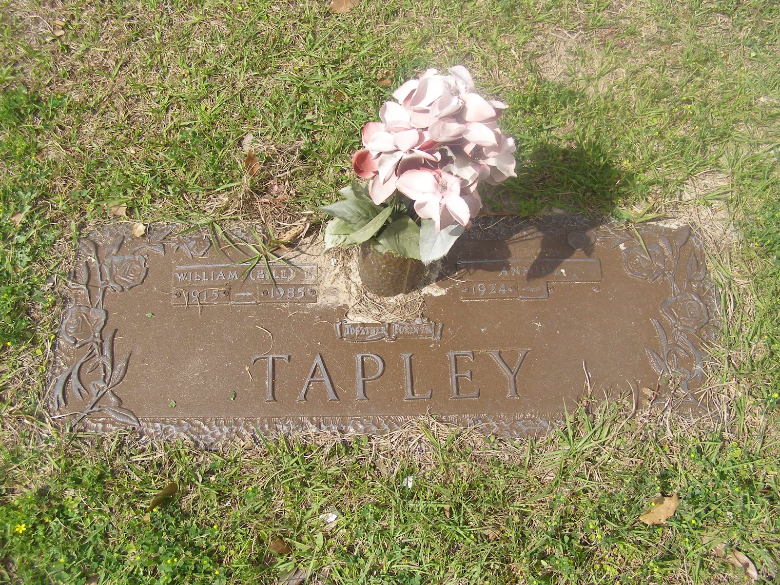 My Tapley Tree...and its Branches: Saturday Night Genealogy Fun ...