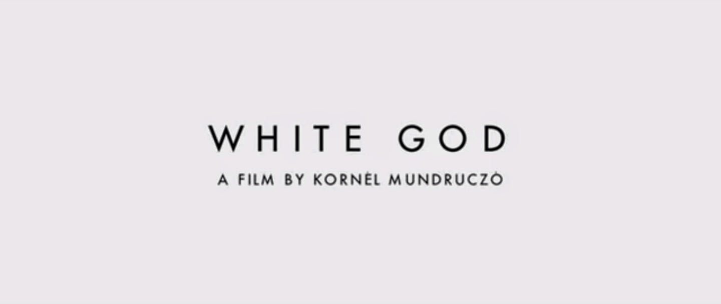 White God 2014 Fehér Isten