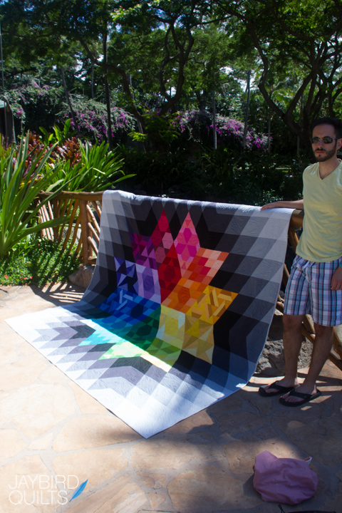 Jaybird Quilts: Gravity Quilt
