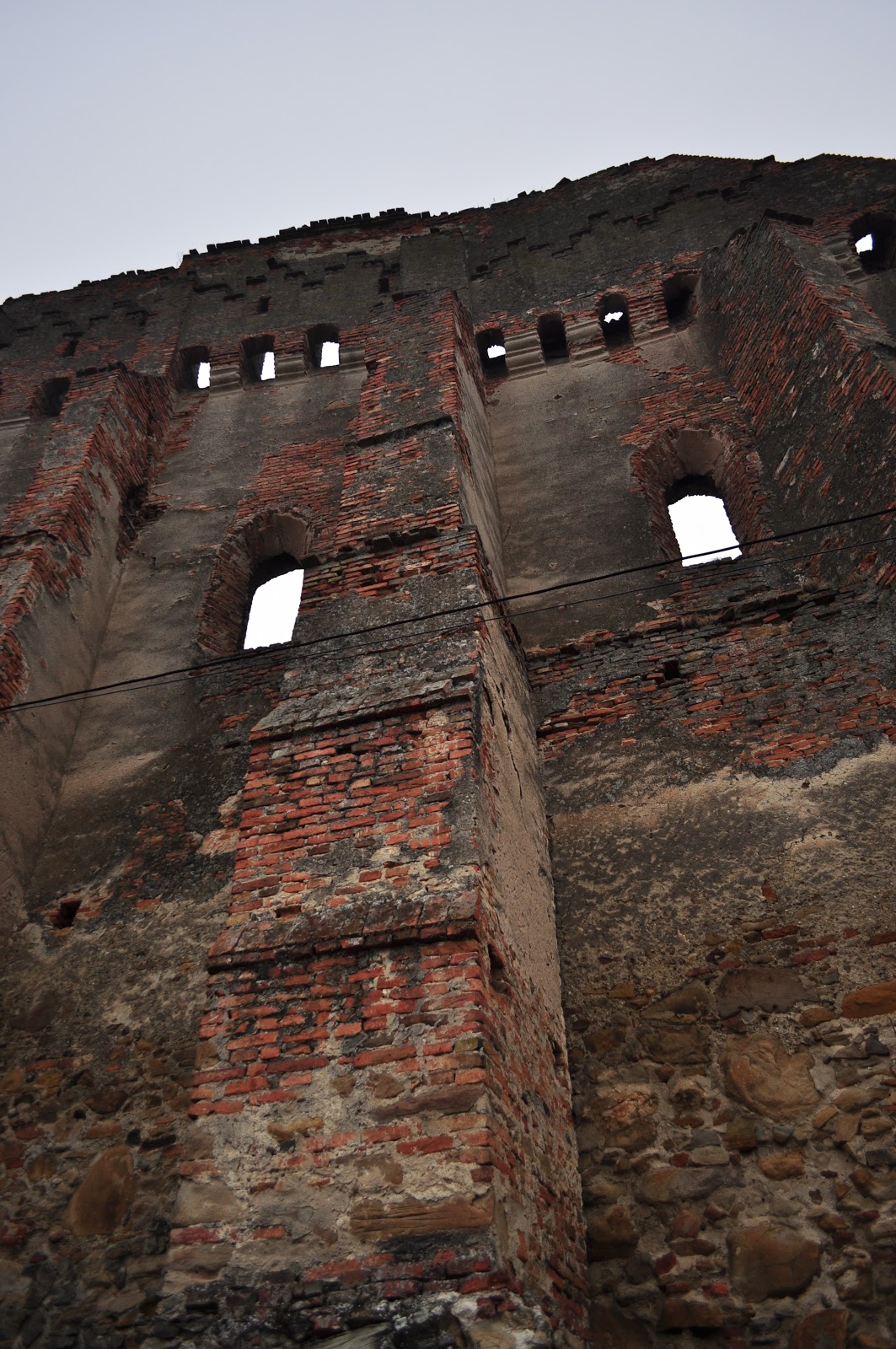 Poze, Natura, Animale, Plante, Romania, Valcea, Ionut Ungureanu
