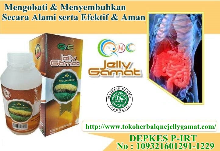 Obat Infeksi Usus (Peradangan / Inflamasi Pada Usus Kecil & Besar ...