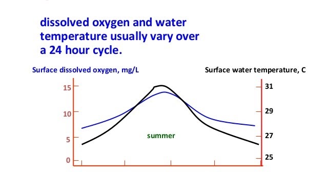 Variation of Oxygen in freshwater ecosystem | NaturalGreen