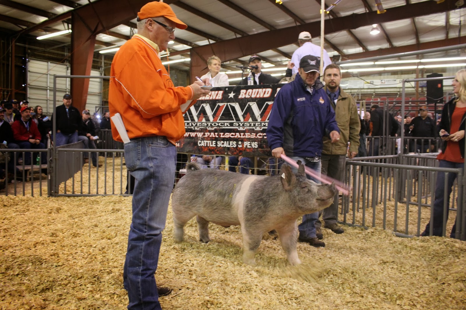 NSR Show & Sale Results: 2013 NSR Fall Classic Crossbred Boar Sale Results