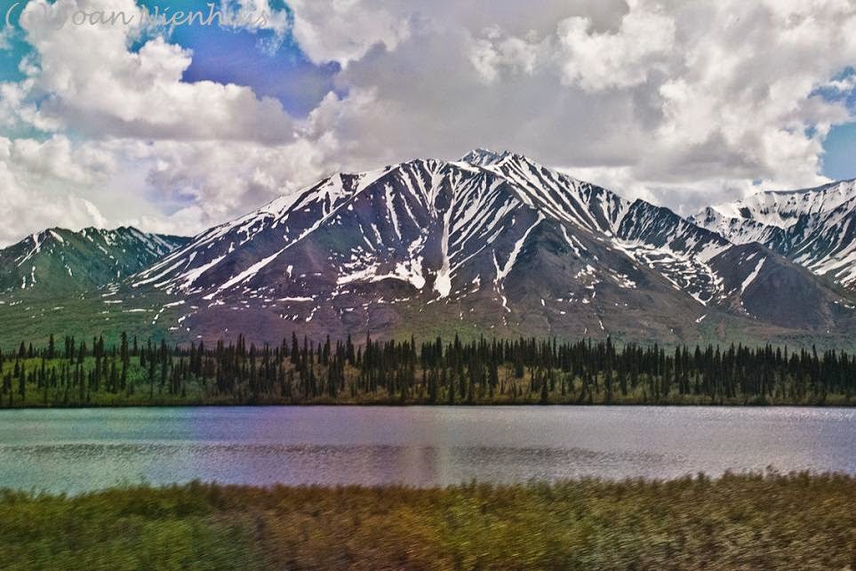 Pacific Northwest Photography: Broad Pass, Alaska