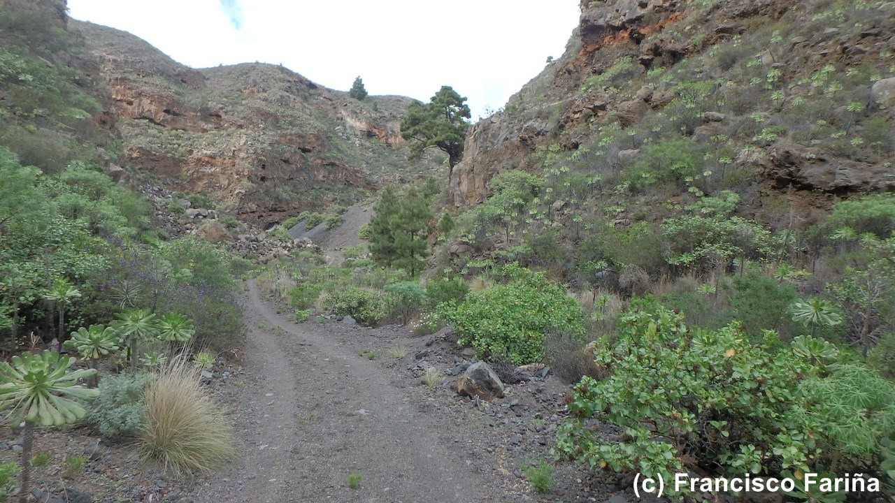 FRANCISCO FARIÑA II: DESCENSO DEL BARRANCO DE LA MAJAA (O DE CHIFIRA)
