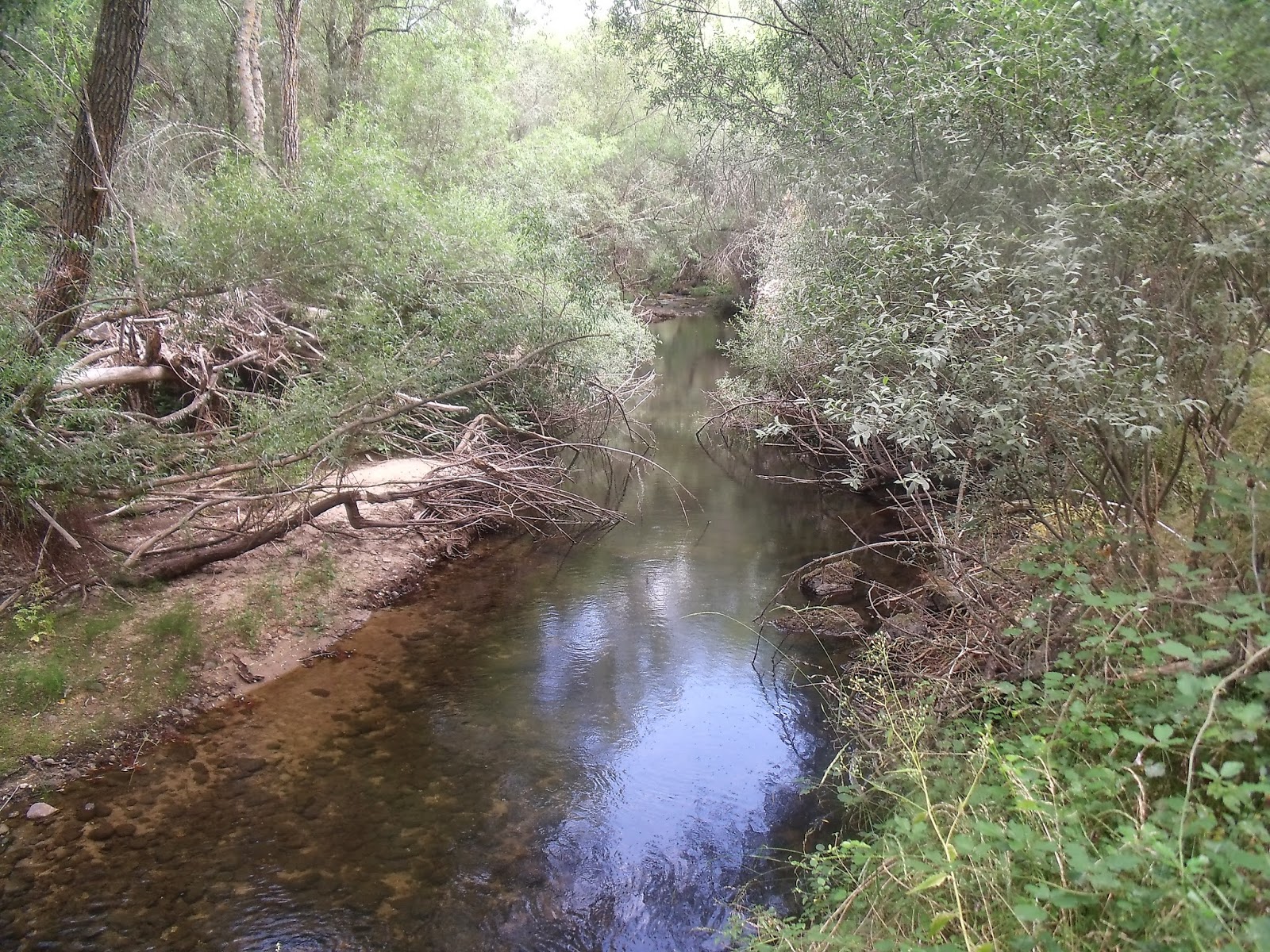 Ruta por el barranco del río Cega ~ EXCURSIONES Y SENDERISMO