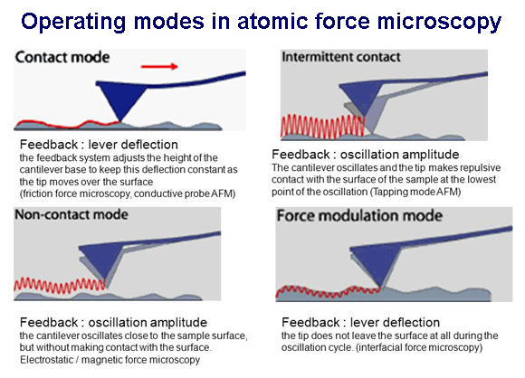 Biomedicine blog: 2.2. Atomic force microscope (AFM)