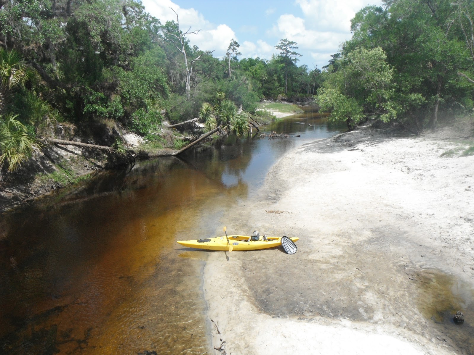 Dave's Yak Tales: Econlockhatchee River