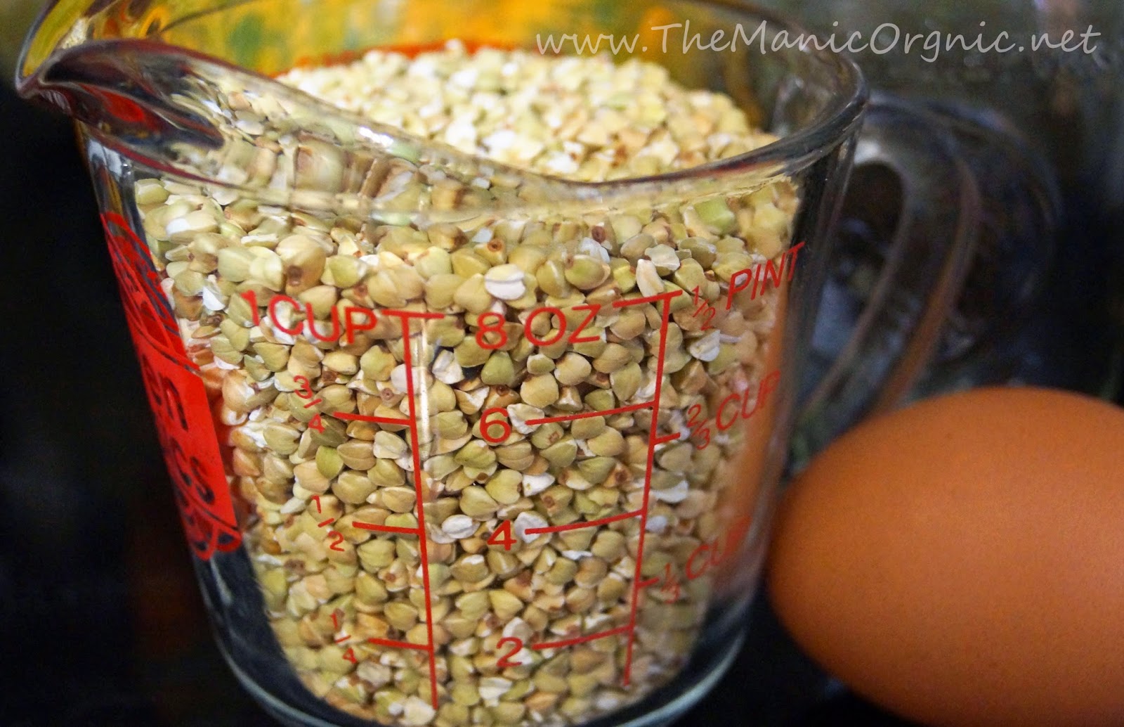 The Manic Organic: Grain free, Gluten Free Buckwheat: Simple Flatbread