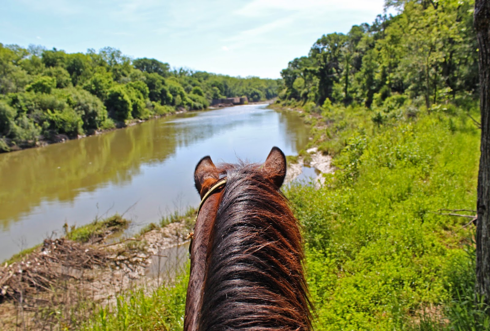 Dallas Trinity Trails: Horseback Riding The Trinity River