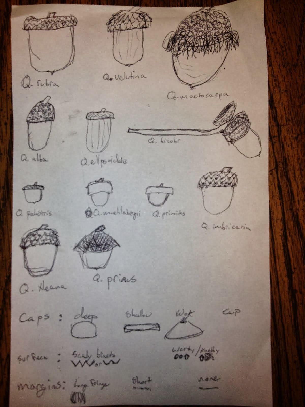 Damn Arbor: October 2013