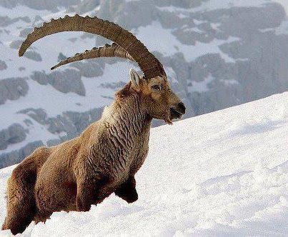 Gilgit ~ Lovely Pakistan