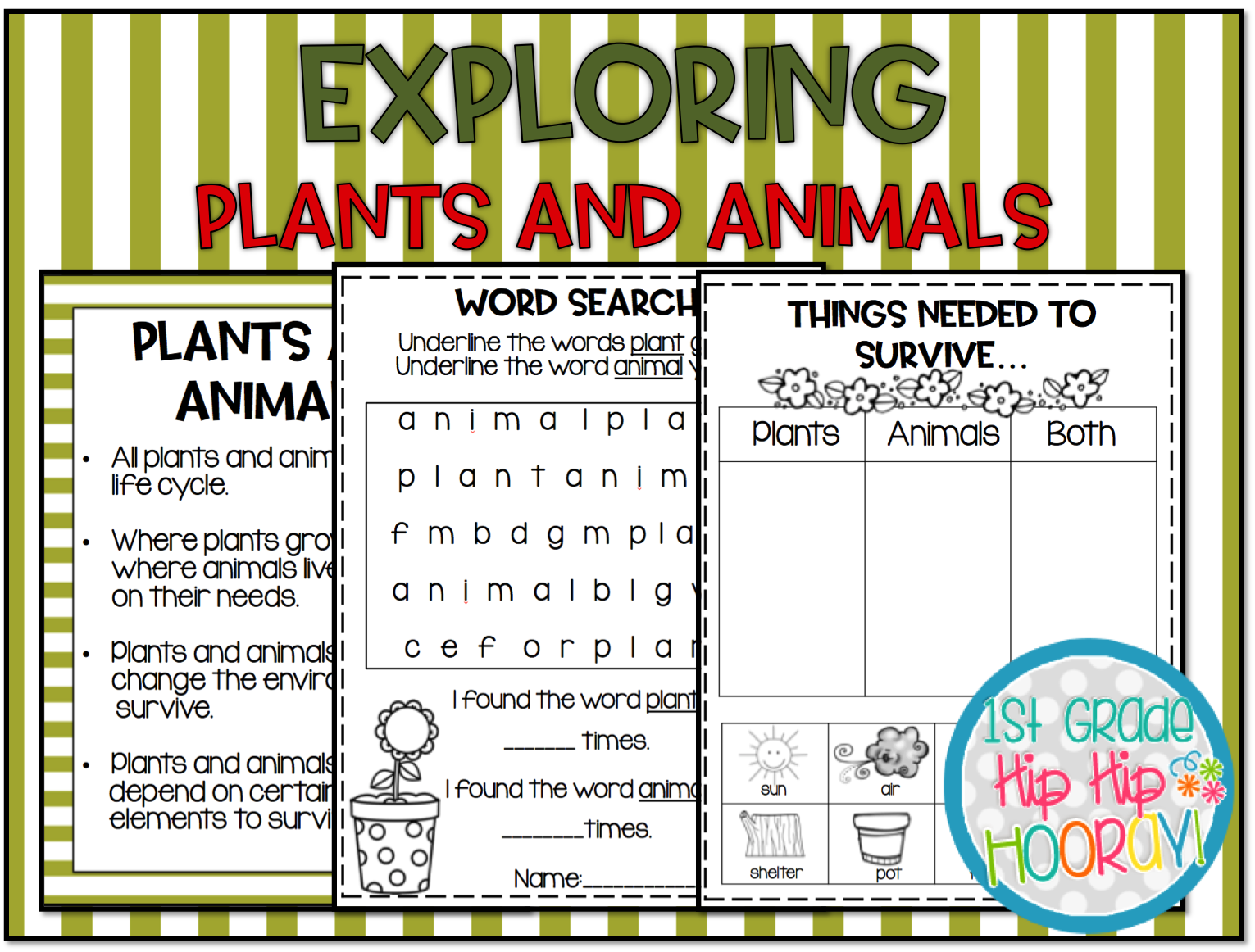 1st Grade Hip Hip Hooray!: Exploring Plants and Animals