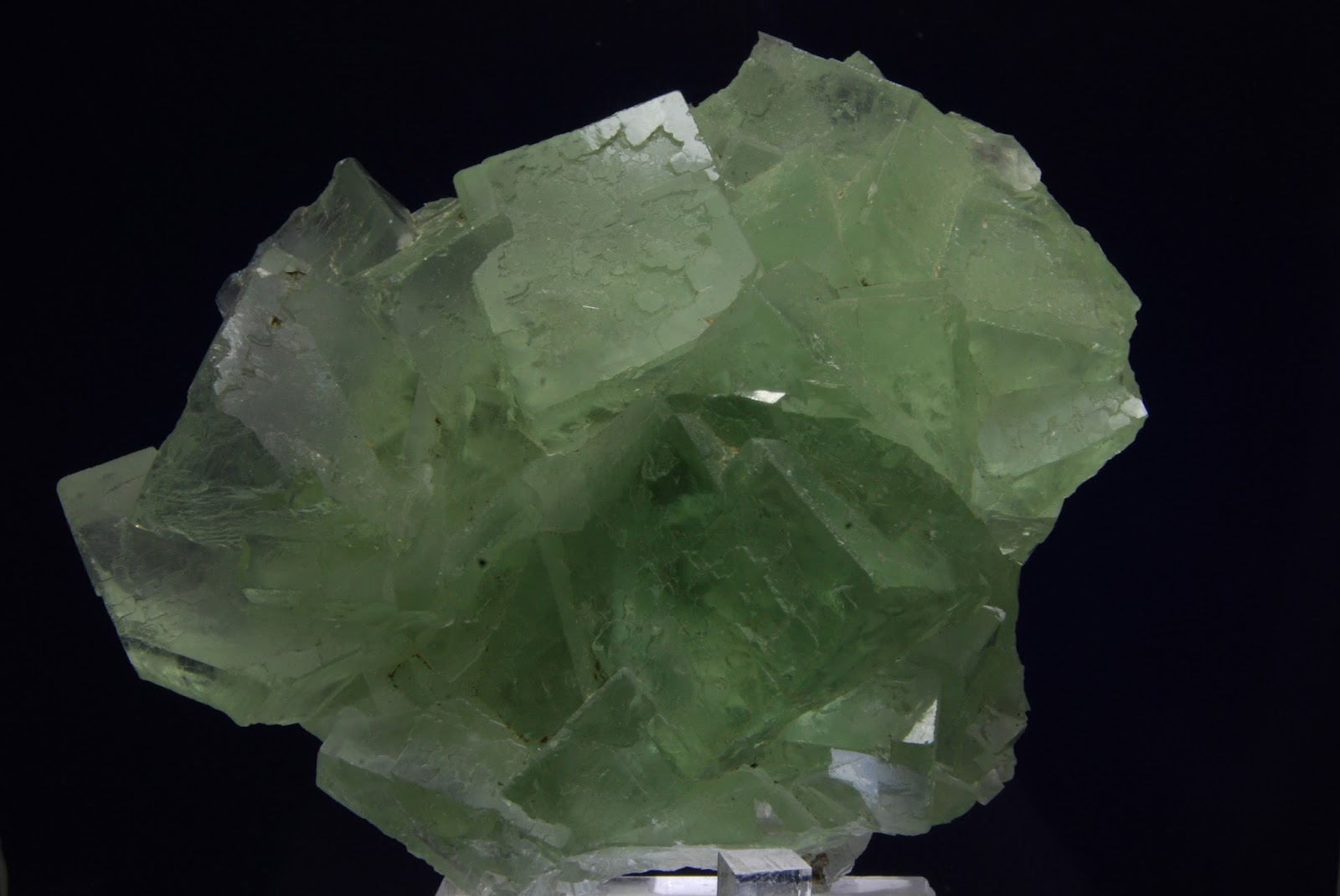 minerales mania: HALUROS