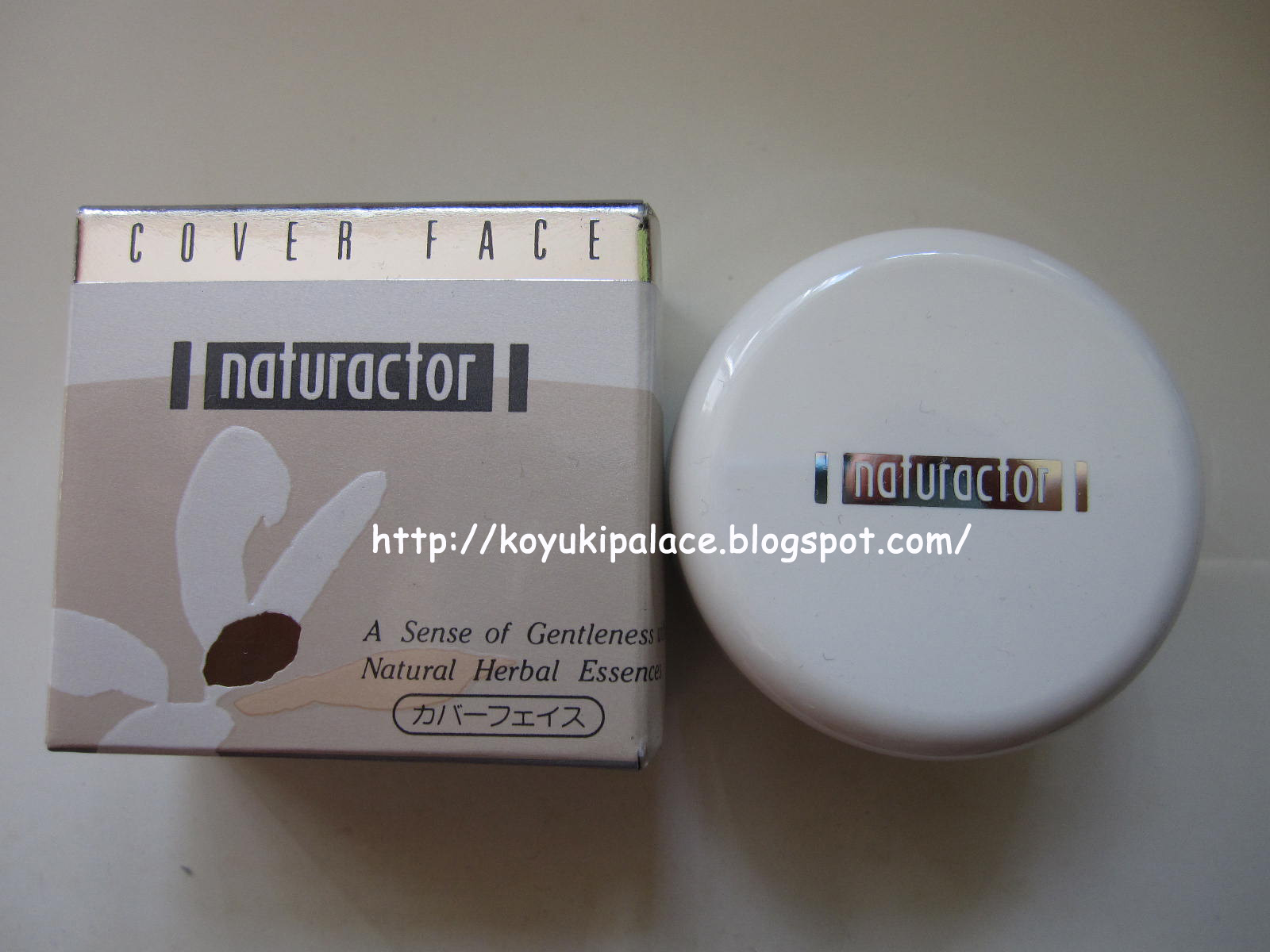 Koyuki Palace - Korean Cosmetics: Shop Naturactor Concealer Cream ...