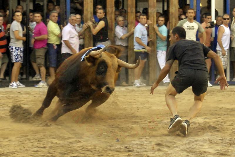 ESPAI TAURÍ: agosto 2011