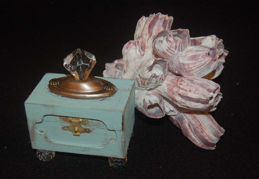 Lynn's Craft Blog: Vintage-look Wooden Box and Barnacle
