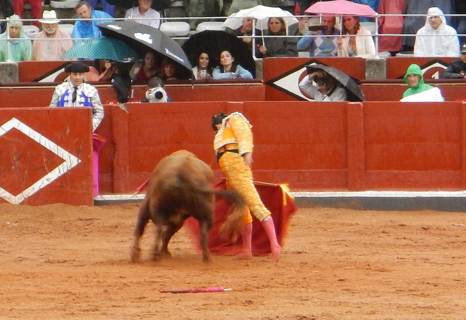 Podo Basas al Día: ¿Os gusta el MOJ-ARTE?......a mi sí, si torea ...