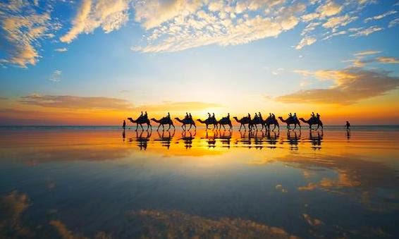 The Flying Tortoise: The Spectacular Australian Camel Train. Don't Miss ...