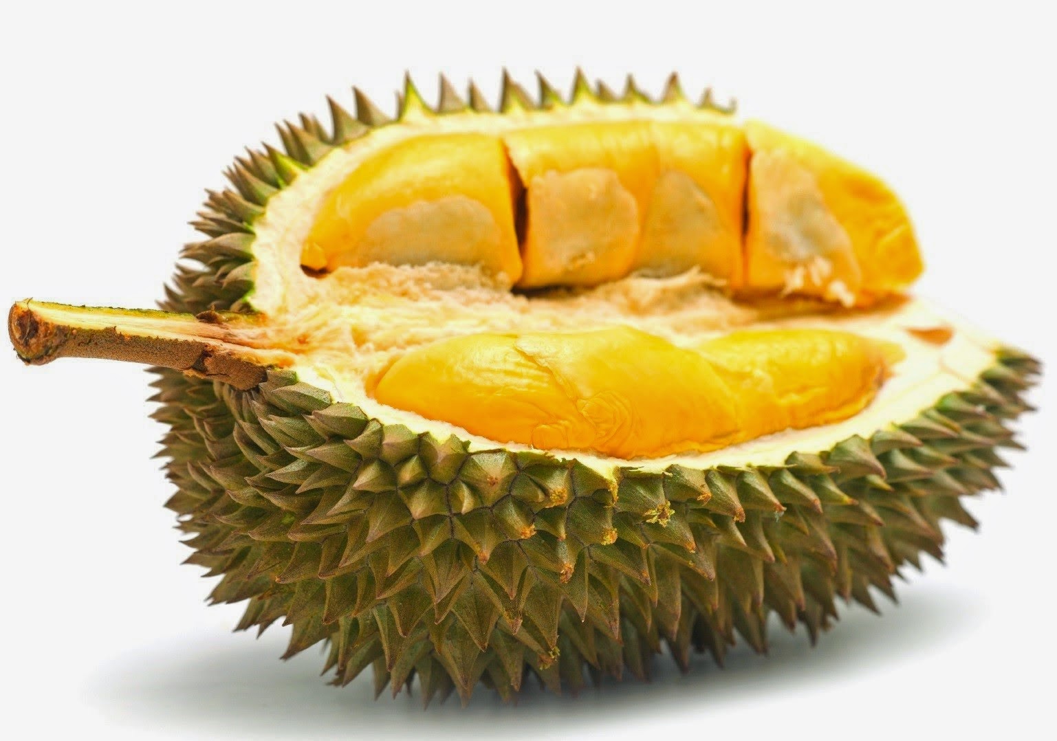 One Lakeshore Drive at Davao Park District: 8 Kinds of Durian in Davao City