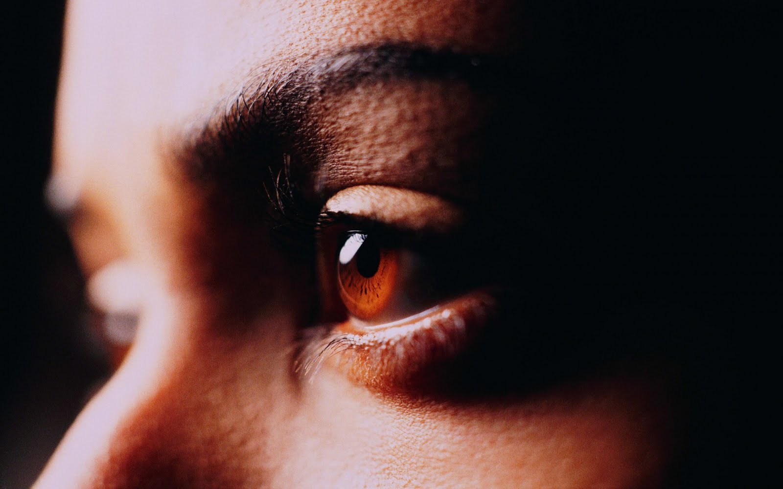 A Story In A Nutshell: Beautiful Brown Eyes