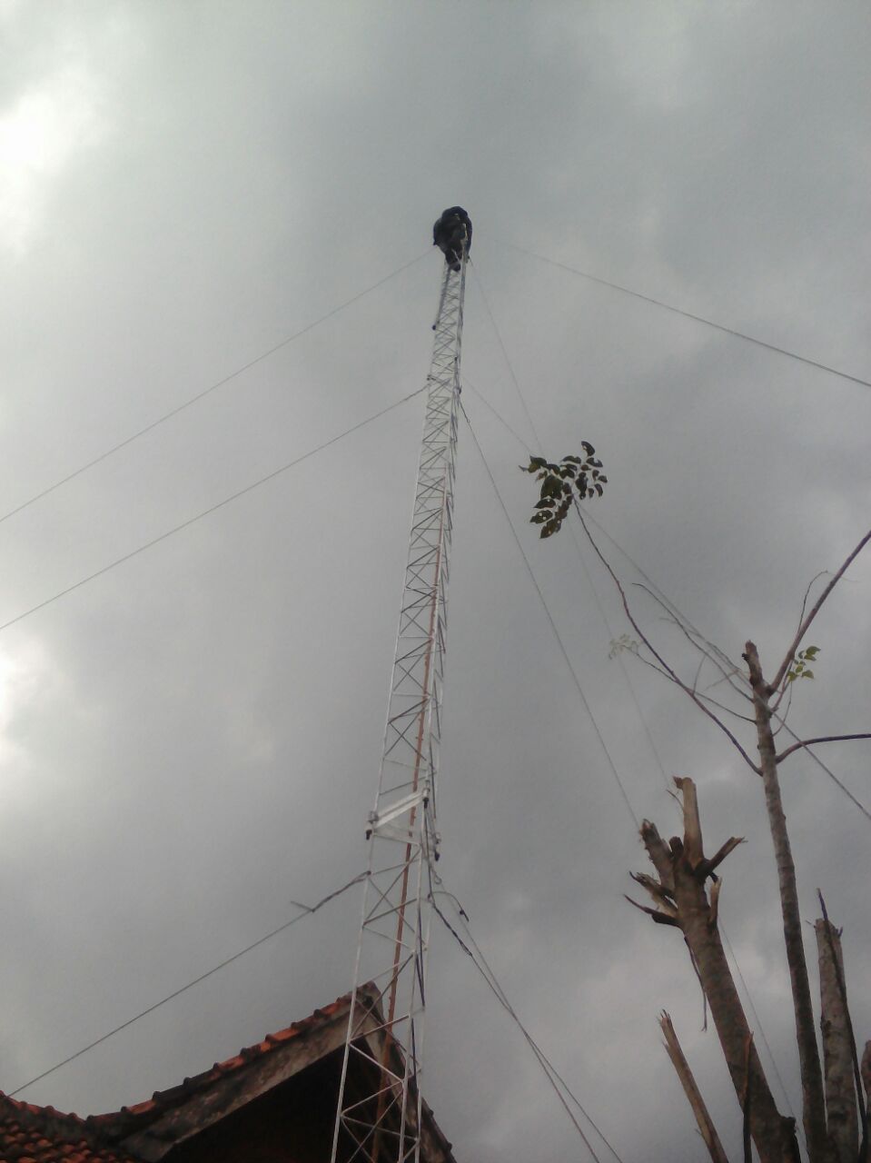 49+ Terbaru Splitzen Tower, Kanopi Tanpa Tiang